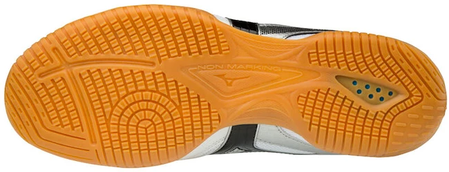 Herren Hallenschuhe Mizuno Crossmatch Plio RX4 White Black